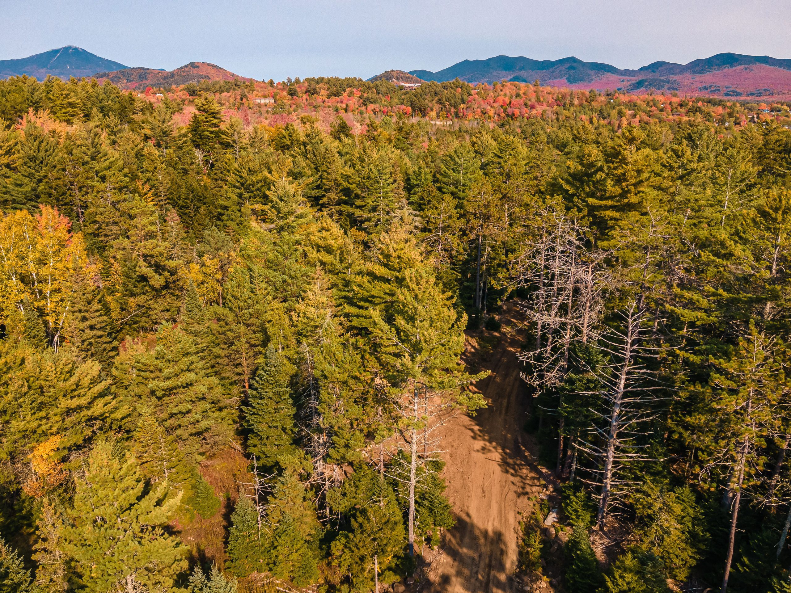 Exceptional Building Lot | The Reynolds Group of Lake Placid